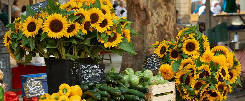 Provence and the French Riviera 2025 - DHTour